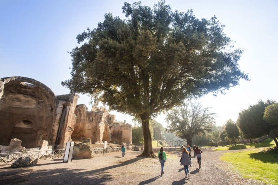 Rome: Hadrian's Villa and Villa d'Este Half-Day Tour - What You Can Expect from the Tour