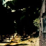 Rome: Hike along the ancient Appian Way - Final Thoughts: Is It Worth It?