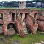 Rome in a Day Port Tour (Driver Only/Self Touring) - The Experience of Private Transportation
