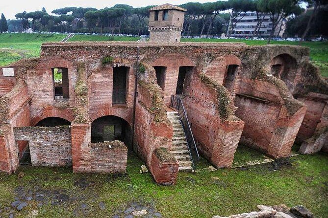 Rome in a Day Port Tour (Driver Only/Self Touring) - The Experience of Private Transportation