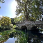 Rome: Ninfa Gardens, Sermoneta, and Lunch Private Tour - Transportation and Group Size