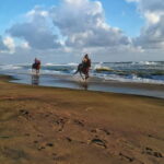 Rome on Horseback : Ancient Ostia & the beach with Aperitif - Detailed Breakdown of the Itinerary