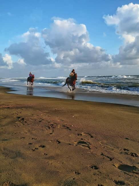Rome on Horseback : Ancient Ostia & the beach with Aperitif - Detailed Breakdown of the Itinerary