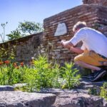 Rome: Ostia Antica - Visit the Ancient Port of Rome Tour - What Makes the Experience Special?