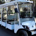 Rome: Piazzas, Fountains, Monuments & Basilicas by Golf Cart - Who Should Consider This Tour?