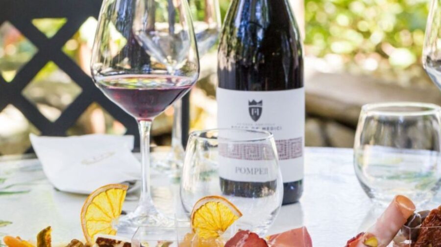 Rome: Pompeii Tour with Wine and Lunch by High Speed Train - Exploring the High-Speed Train Journey