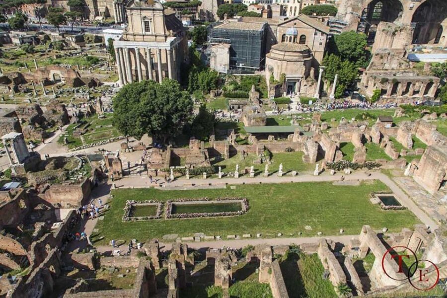 Rome: Private Colosseum, Roman Forum, and Palatine Hill Tour - Who Would Enjoy This Tour?