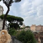 Rome: Private Walking City Tour with a Guide - Deep Dive into the Itinerary and Highlights