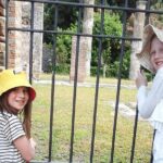 Rome to Pompeii for Kids and Families with lunch at Winefarm - Why This Tour Delivers Excellent Value