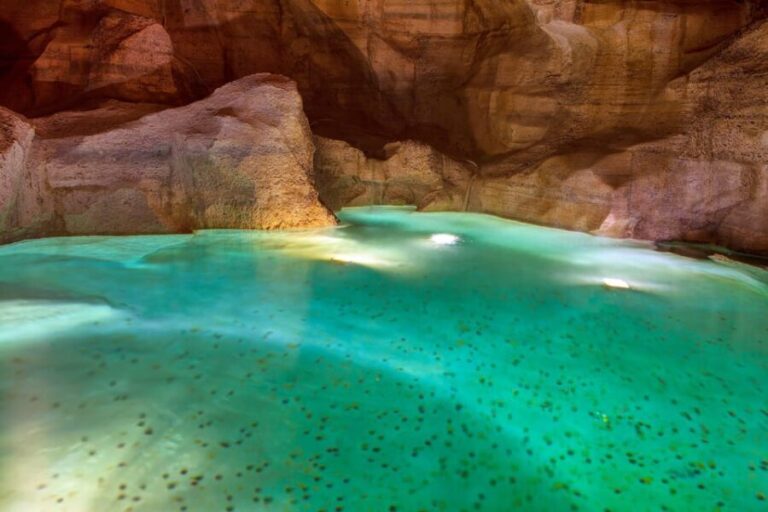 Rome: Trevi Fountain District Underground Tour and Ice Cream - What Are the Highlights of This Tour?