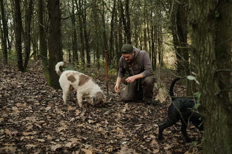 ROME: Truffle Hunting and Lunch with Truffle Dishes - Is This Tour Worth It?