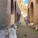 Rome:Colosseum Arena Floor Guided Tour Up To 6 People - The Tour Itinerary: What You Can Expect