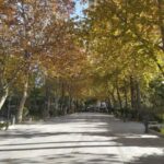 Ronda: 2-Hour Private Walking Tour - Practical Details and Value