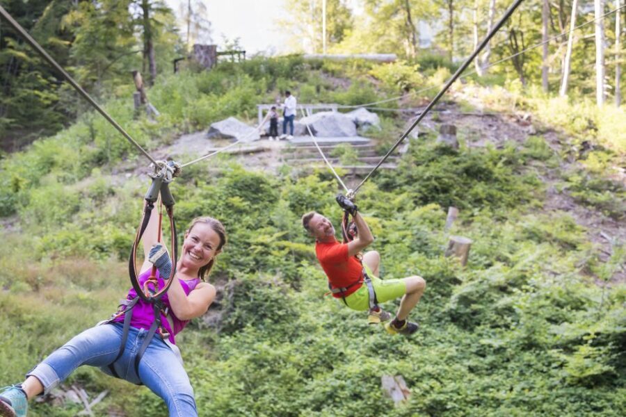 Rope Park Interlaken: Climbing Adventure with Entry Ticket - The Value of the Experience
