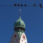 Rosenheim: Express Walk with a Local in 60 minutes - Why This Tour Matters for Travelers