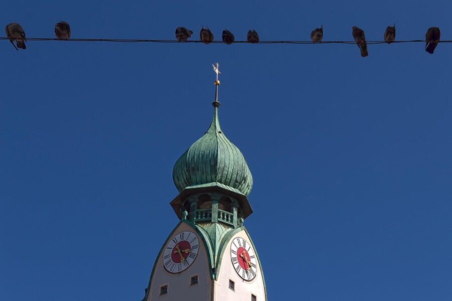 Rosenheim: Express Walk with a Local in 60 minutes - Why This Tour Matters for Travelers