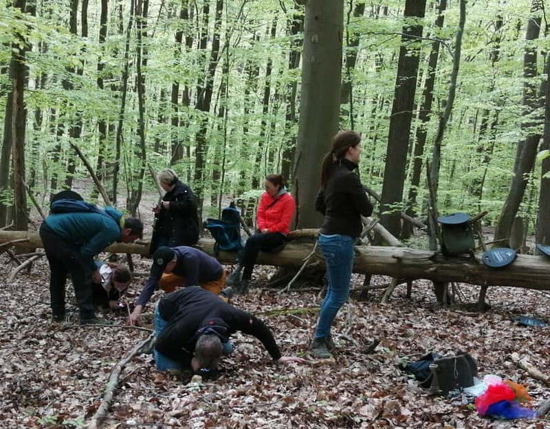 Rotenburg an der Fulda: Forest bathing with a certified guide - What You Can Expect During the Tour