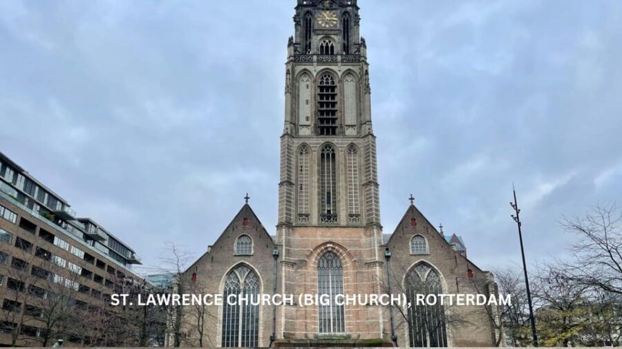 Rotterdam and Kinderdijk Daily Walking and Boat Tour - What Travelers Say