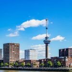Rotterdam: Harbor Cruise with Live Guide - A Detailed Look at the Experience