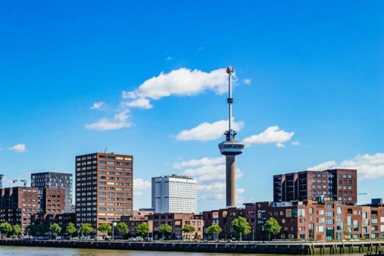 Rotterdam: Harbor Cruise with Live Guide - A Detailed Look at the Experience