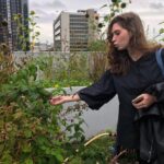 Rotterdam Travel to the Future Walking Tour - The Practicalities: What You Need to Know