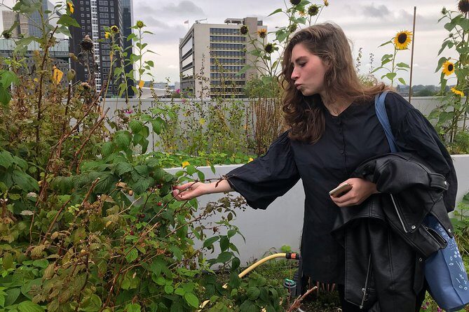 Rotterdam Travel to the Future Walking Tour - The Practicalities: What You Need to Know