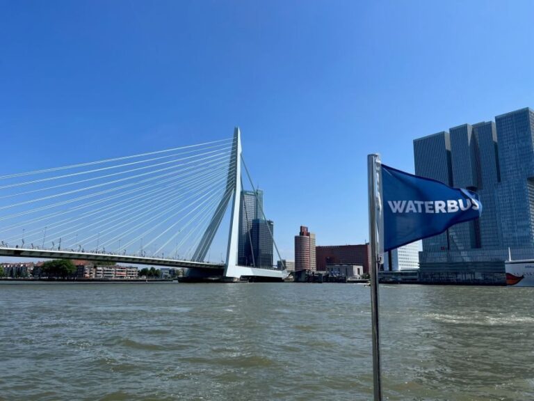 Rotterdam: Waterbus Ticket to Dordrecht and/or Kinderdijk - How Does the Itinerary Break Down?