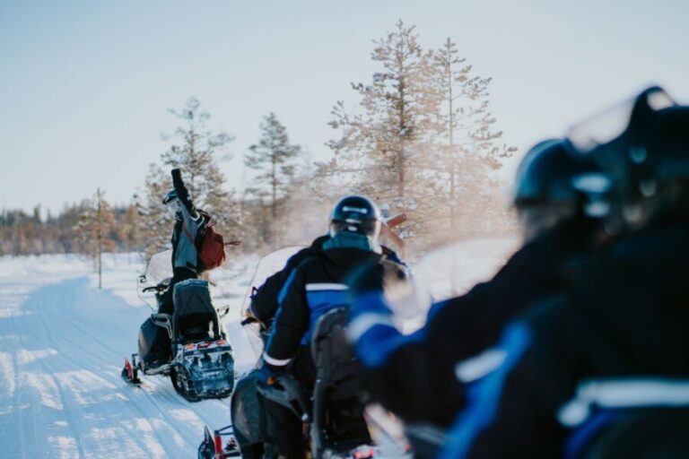 Rovaniemi: 3-Hour Snowmobile Safari in Lapland - Authenticity & Reviewer Opinions