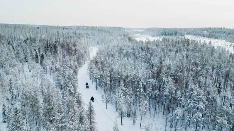 Rovaniemi: 6-Hour Snowmobile Safari in Lapland - Key Points