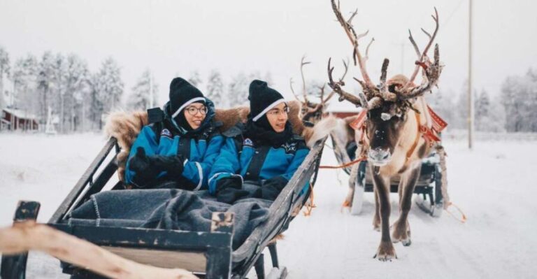 Rovaniemi: Apukka Reindeer Journey - The Ride Through Winter’s Silence