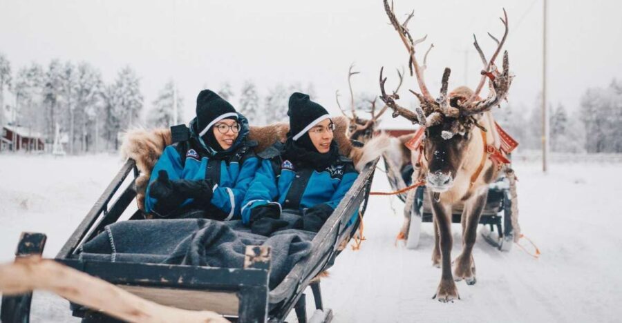 Rovaniemi: Apukka Reindeer Journey - The Ride Through Winter’s Silence