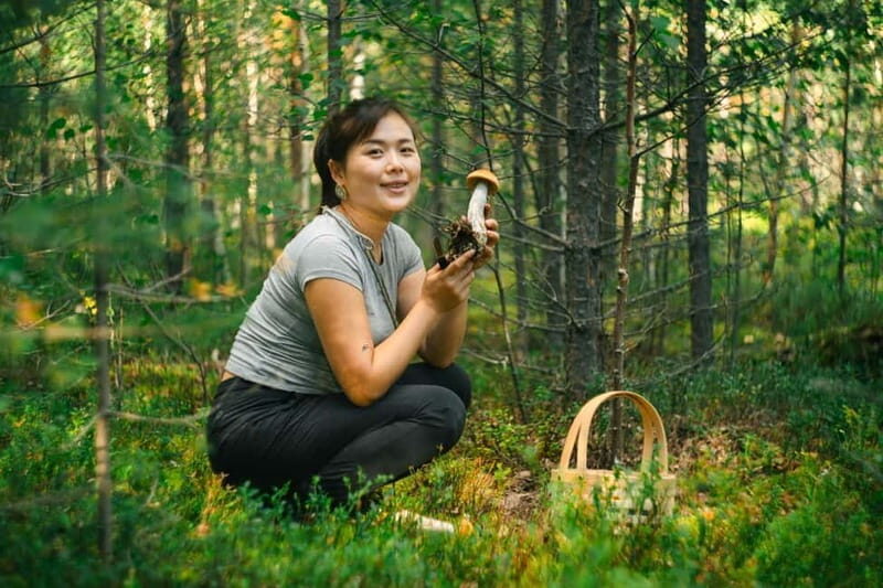 Rovaniemi: Arctic Wild Berry & Mushroom Foraging and Tasting - Exploring Lapland’s Forests: What to Expect