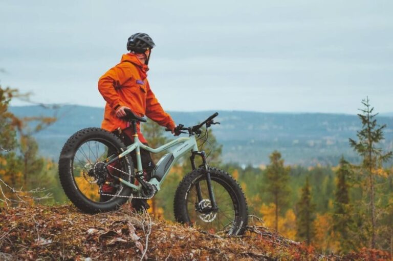 Rovaniemi: Arctic Wilderness & Forests Guided E-Bike Tour - In-Depth Review