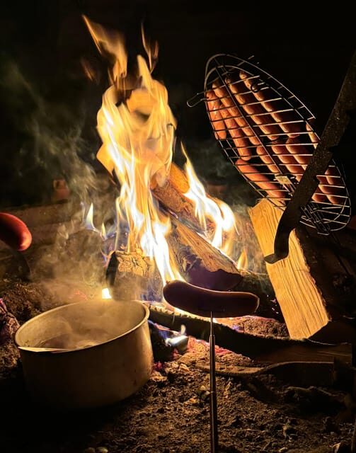 Rovaniemi: Aurora hunting and a fireside BBQ experience - Authentic, Fun, and Family-Friendly