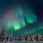 Rovaniemi: Aurora Hunting Tour in the Forest with Hot Drinks - Who Should Consider This Tour?