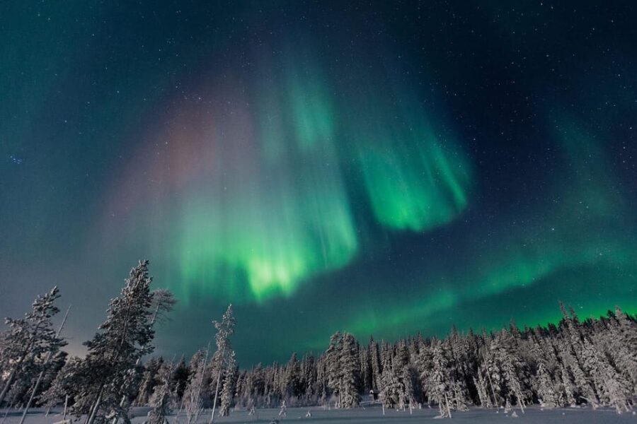 Rovaniemi: Aurora Hunting Tour in the Forest with Hot Drinks - Who Should Consider This Tour?