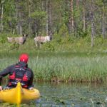 Rovaniemi: Authentic Reindeer Farm & Canoeing - Who Will Enjoy This Tour?