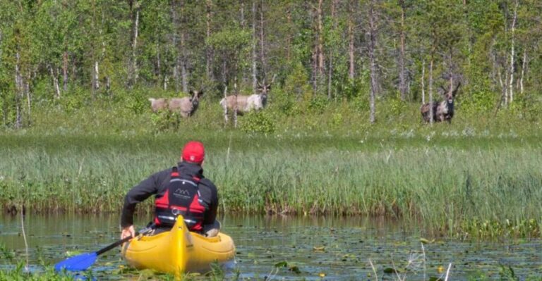 Rovaniemi: Authentic Reindeer Farm & Canoeing - Who Will Enjoy This Tour?