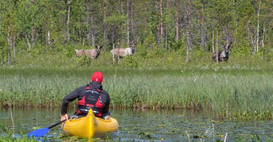 Rovaniemi: Authentic Reindeer Farm & Canoeing - Who Will Enjoy This Tour?