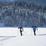 Rovaniemi: Cross Country Wilderness Ski Adventure - What You Can Expect from the Tour