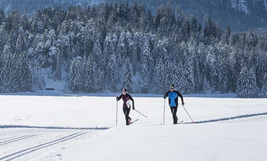 Rovaniemi: Cross Country Wilderness Ski Adventure - What You Can Expect from the Tour