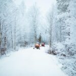 Rovaniemi: Early Winter 2 Hour Snowmobile Safari - Value and Cost Analysis