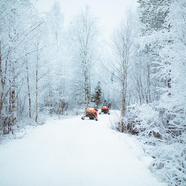 Rovaniemi: Early Winter 2 Hour Snowmobile Safari - Value and Cost Analysis
