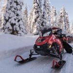 Rovaniemi: Easy Snowmobile Safari - Detailed Breakdown of the Tour