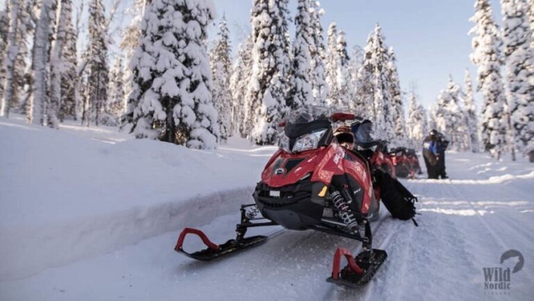 Rovaniemi: Easy Snowmobile Safari - Detailed Breakdown of the Tour