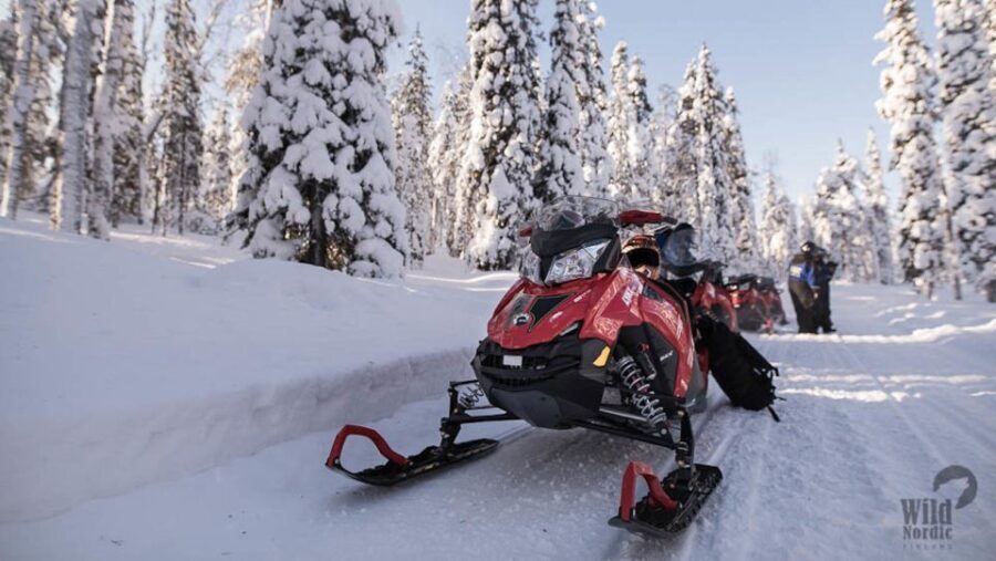 Rovaniemi: Easy Snowmobile Safari - Detailed Breakdown of the Tour
