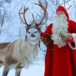 Rovaniemi: excursion to Santa Clause Holliday Village - What to Expect: From Logistics to the Experience