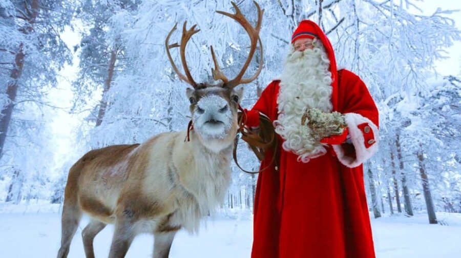 Rovaniemi: excursion to Santa Clause Holliday Village - What to Expect: From Logistics to the Experience