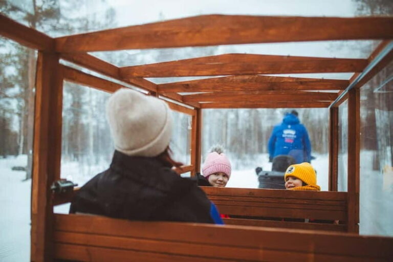 Rovaniemi: Family Snowmobiling Trip - Who Will Love This Tour?