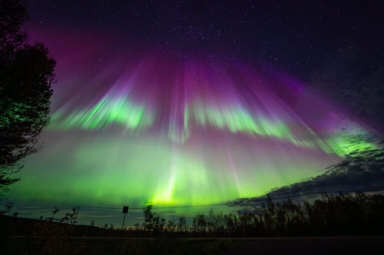 Rovaniemi: Guaranteed Ultimate Aurora Hunt with Photographer - Pricing & Value